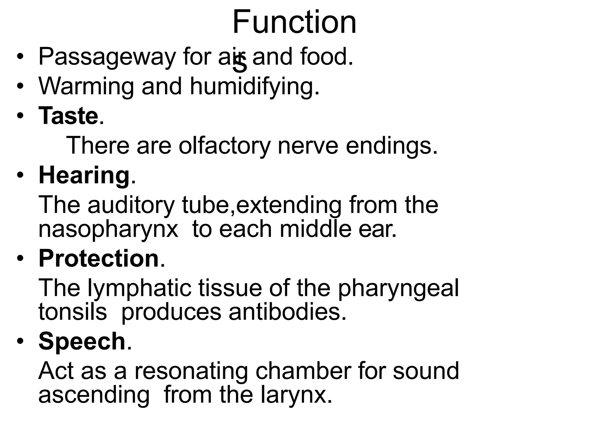 respiratory system .pptx