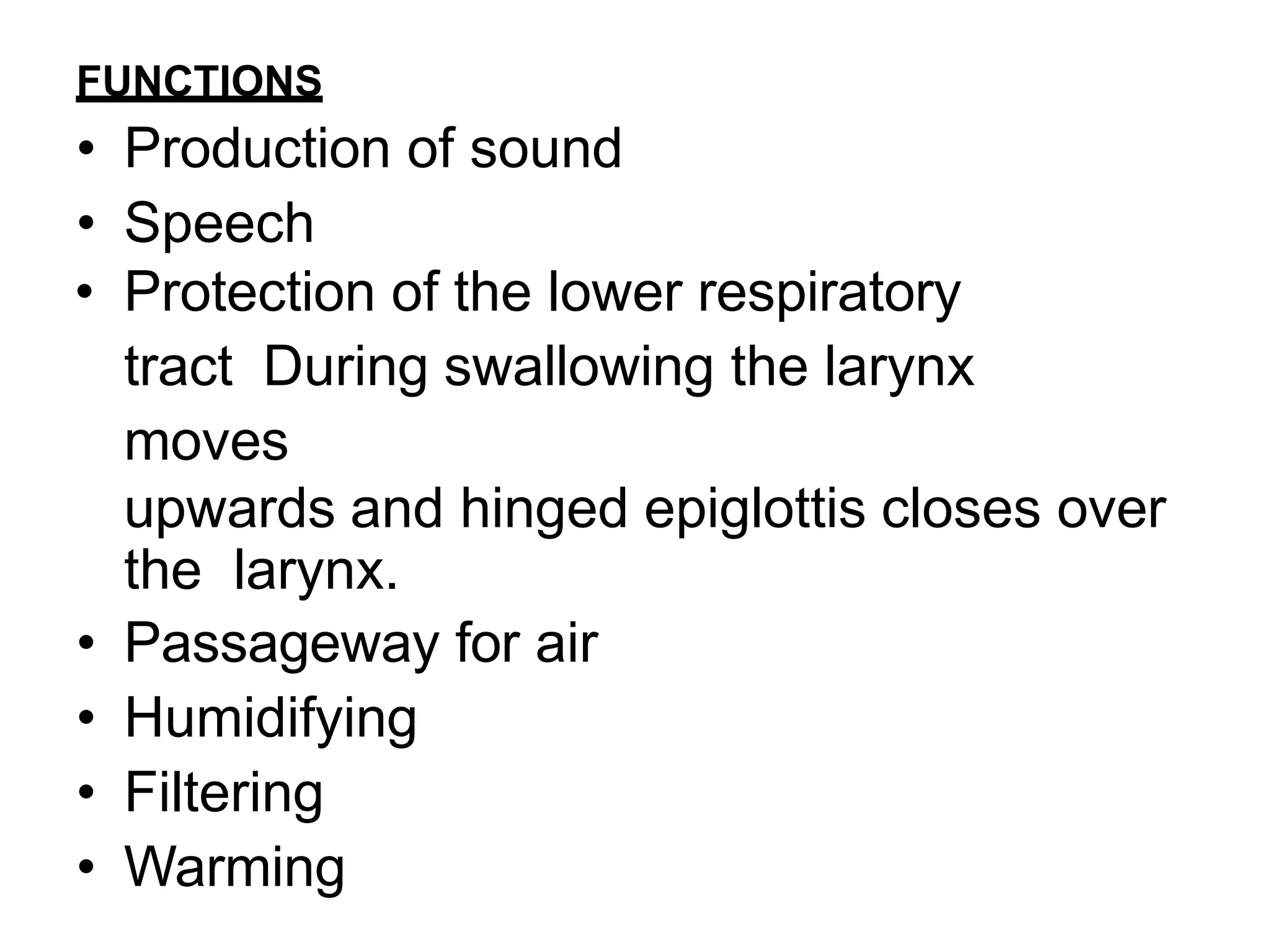 respiratory system .pptx