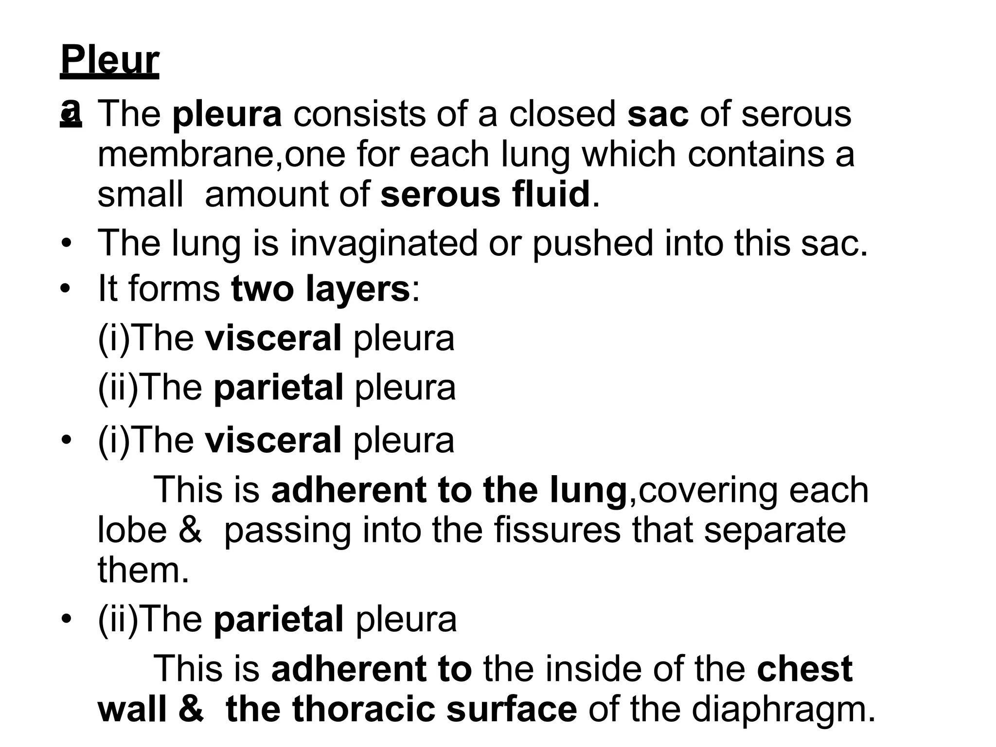 respiratory system .pptx