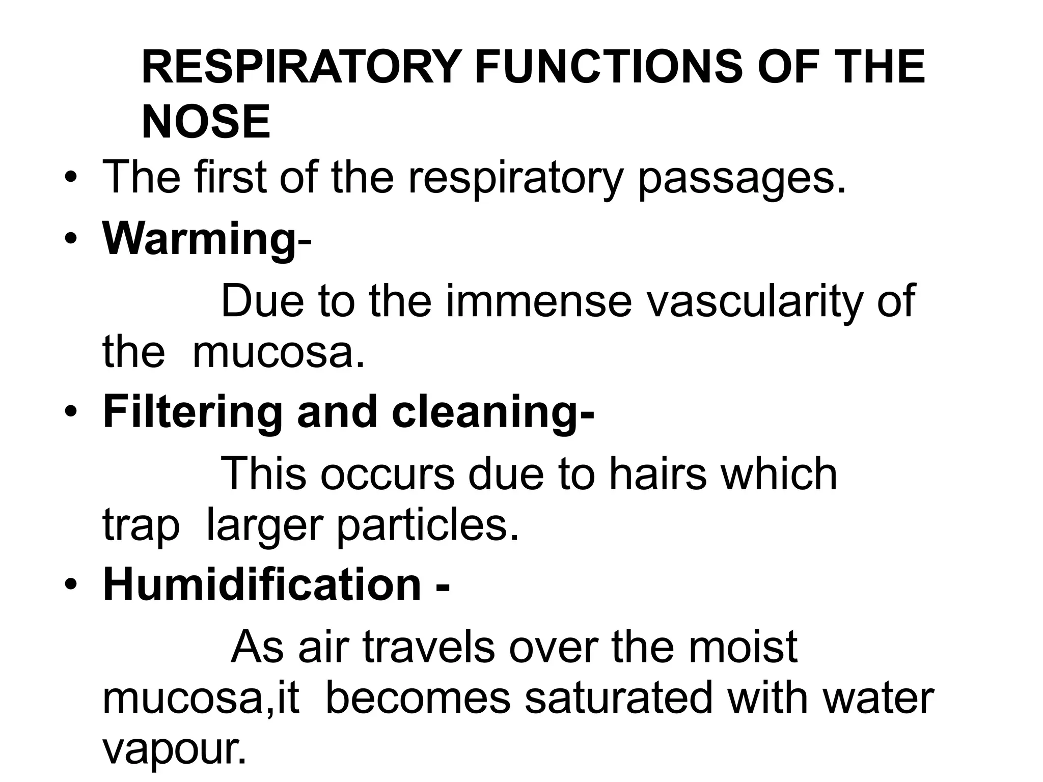 respiratory system .pptx