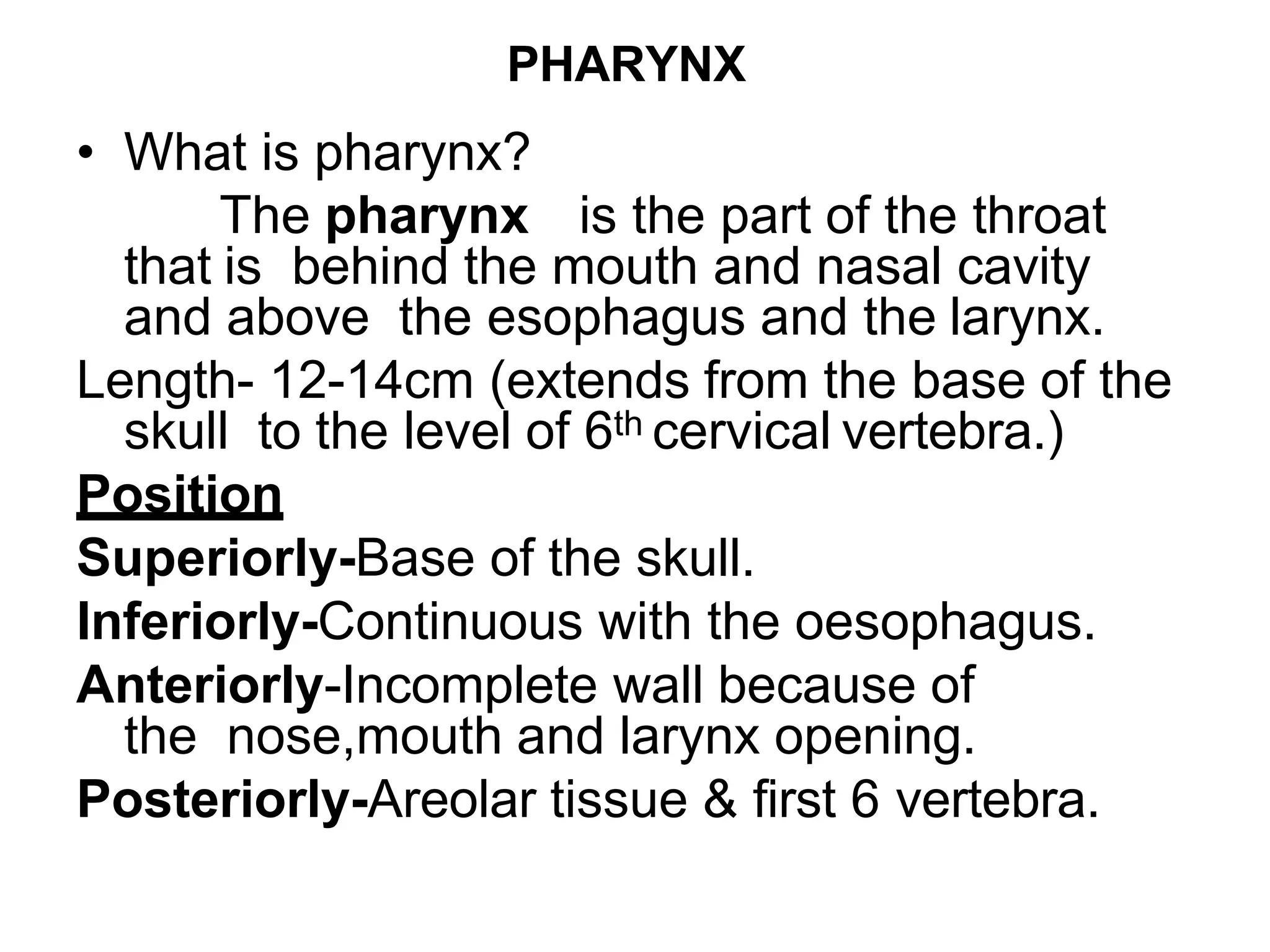 respiratory system .pptx