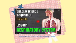 respiratory system parts and their functions | PPT