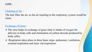 RESPIRATORY SYSTEM.pptxv gnm first year students | PPTX