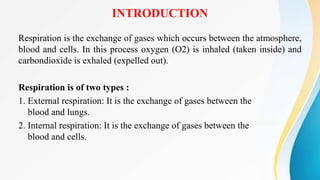 RESPIRATORY SYSTEM.pptxv gnm first year students | PPTX