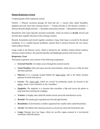 (Human Physiology) Respiratory System.docx