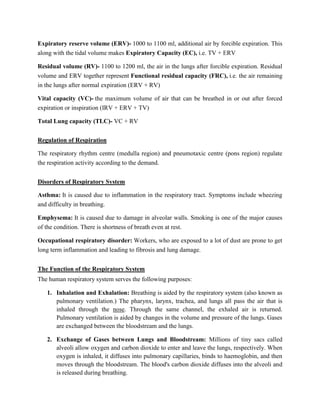 (Human Physiology) Respiratory System.docx
