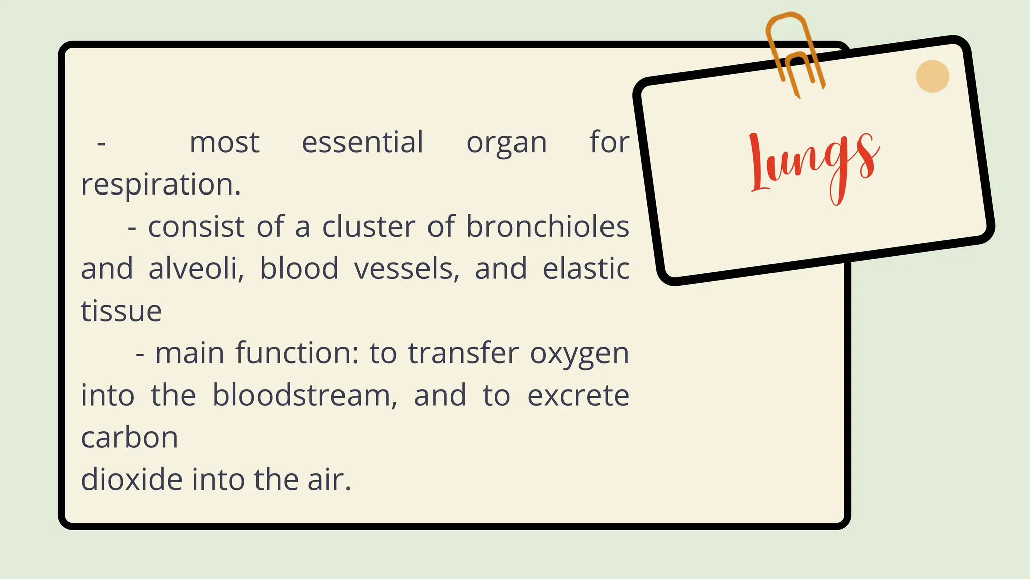 Grade 9 Respiratory and Circulatory System.pptx