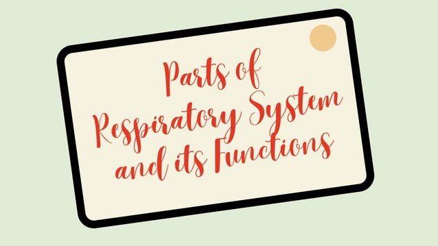 Grade 9 Respiratory and Circulatory System.pptx