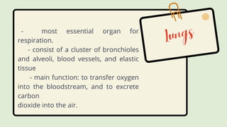 Grade 9 Respiratory and Circulatory System.pptx