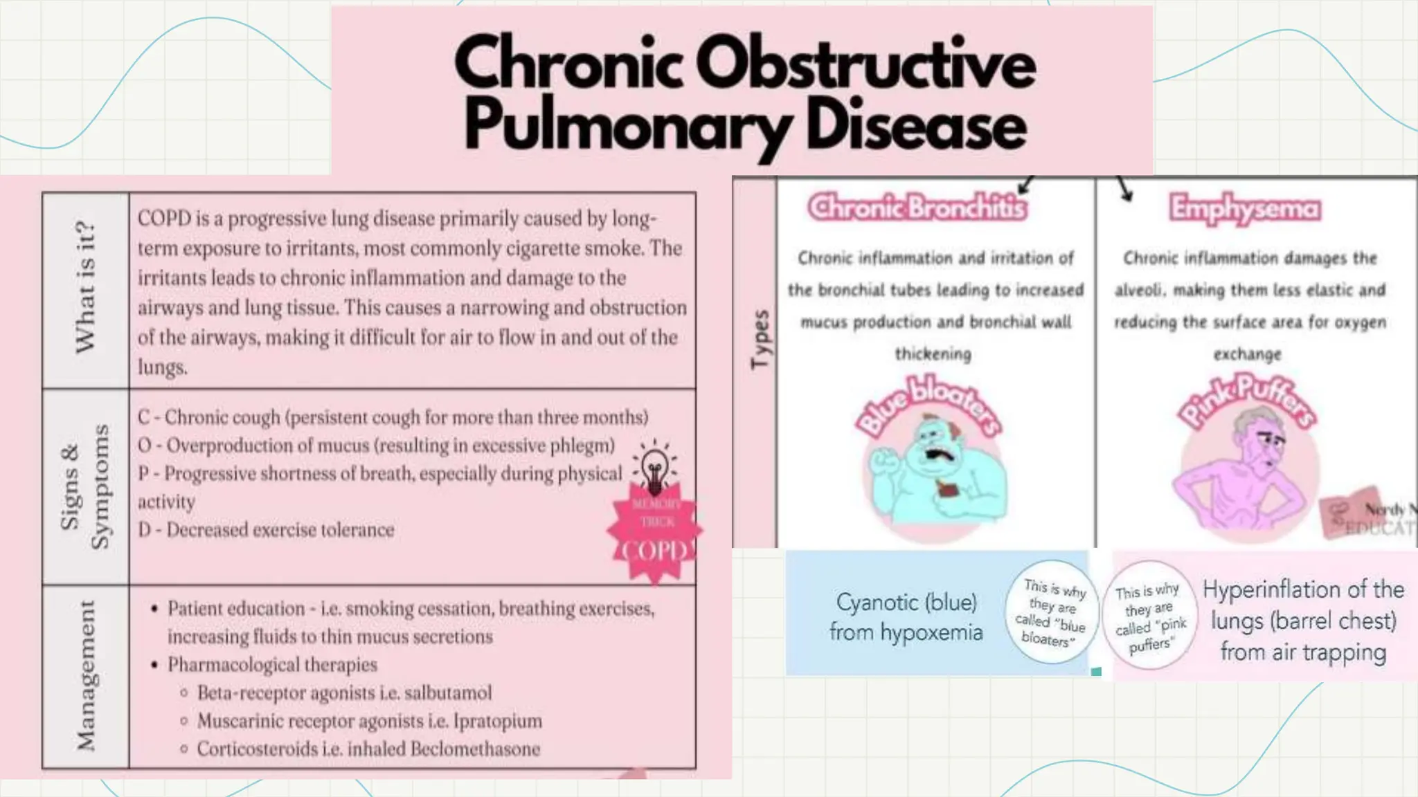 RESPIRATORY SYSTEM- HUMAN ANATOMY AND PHYSIOLOGY | PPTX | Lung and Respiratory Health | Diseases ...