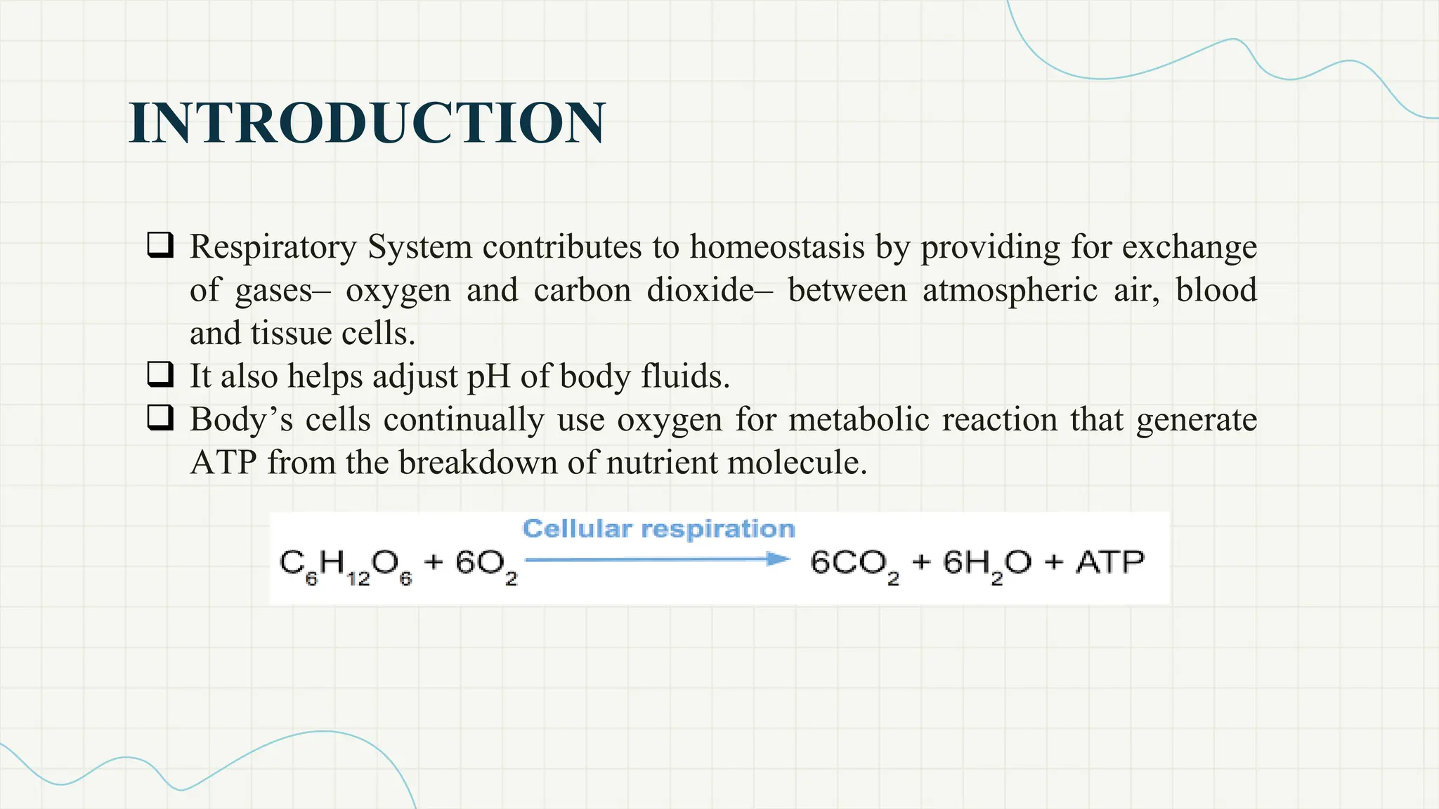 RESPIRATORY SYSTEM- HUMAN ANATOMY AND PHYSIOLOGY | PPTX | Lung and Respiratory Health | Diseases ...
