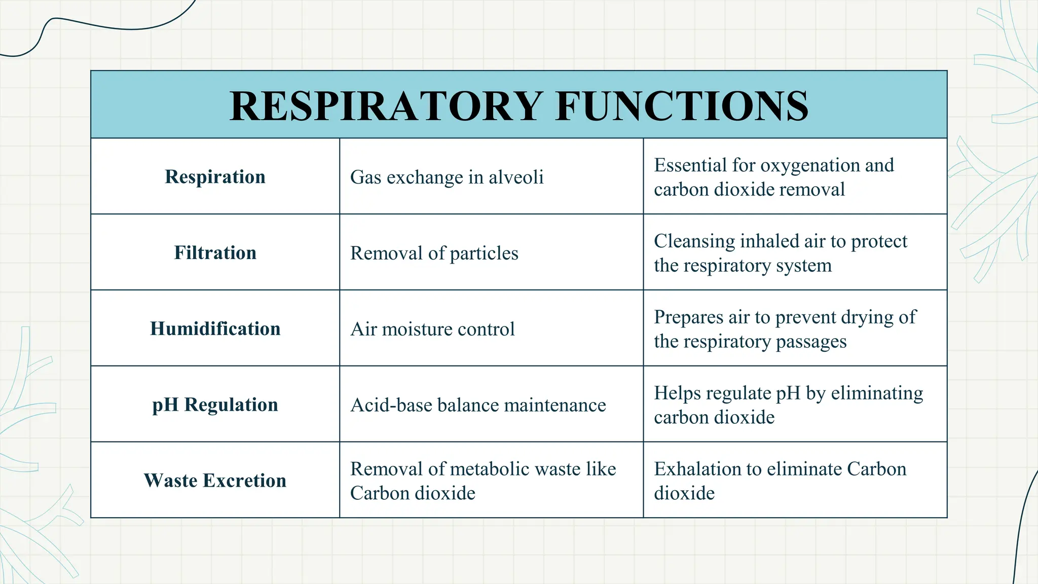 RESPIRATORY SYSTEM- HUMAN ANATOMY AND PHYSIOLOGY | PPTX | Lung and Respiratory Health | Diseases ...