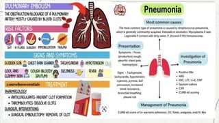 RESPIRATORY SYSTEM- HUMAN ANATOMY AND PHYSIOLOGY | PPTX | Lung and Respiratory Health | Diseases ...