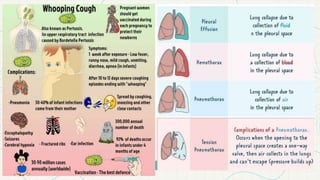 RESPIRATORY SYSTEM- HUMAN ANATOMY AND PHYSIOLOGY | PPTX | Lung and Respiratory Health | Diseases ...