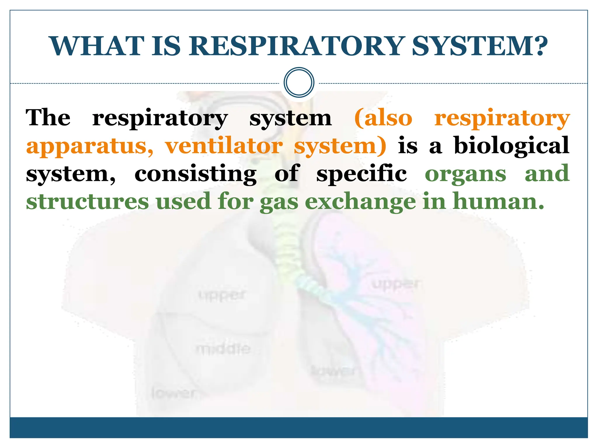 respiratory system its parts and different organs | PPTX