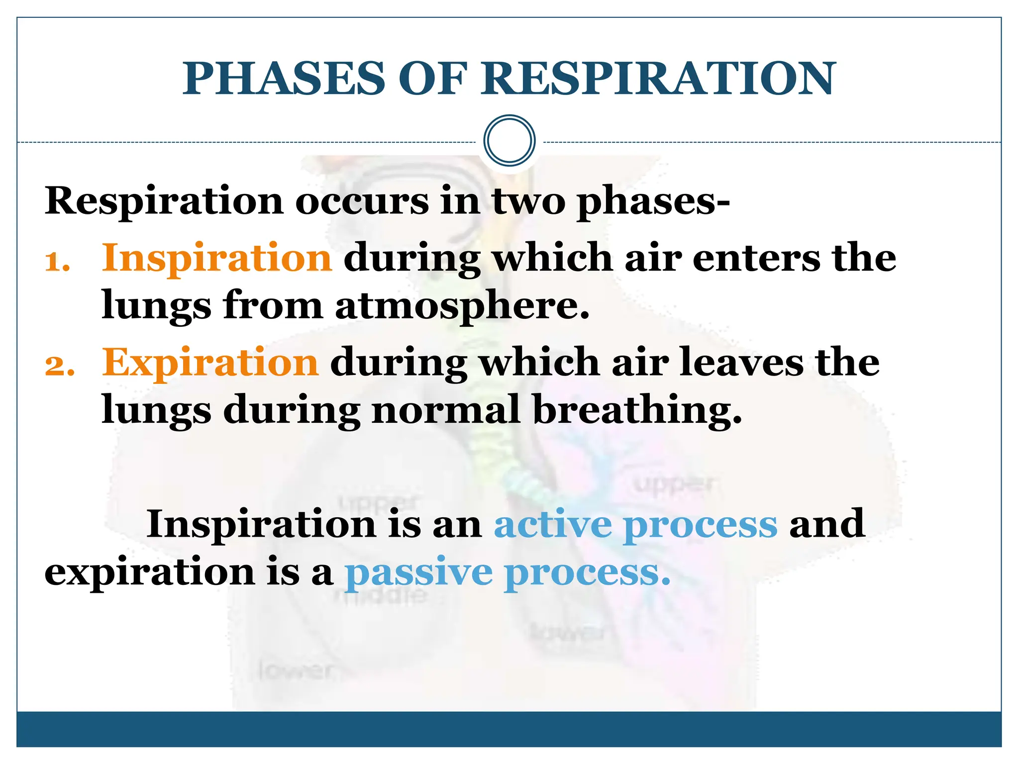 respiratory system its parts and different organs | PPTX