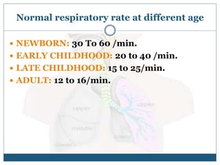 respiratory system its parts and different organs | PPTX