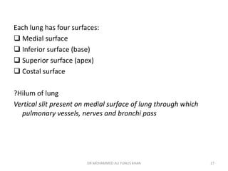 Respiratory system anatomy and physiology.ppt