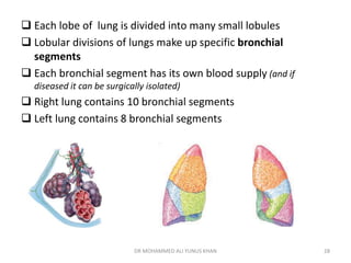 Respiratory system anatomy and physiology.ppt