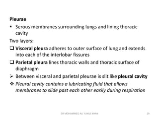 Respiratory system anatomy and physiology.ppt
