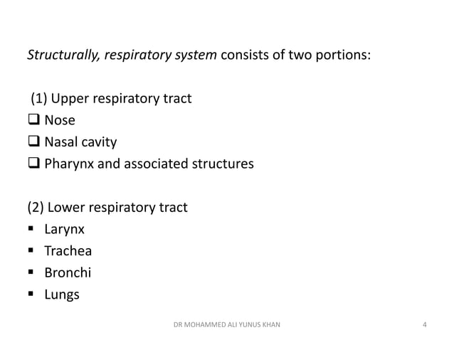 Respiratory system anatomy and physiology.ppt | Free Download