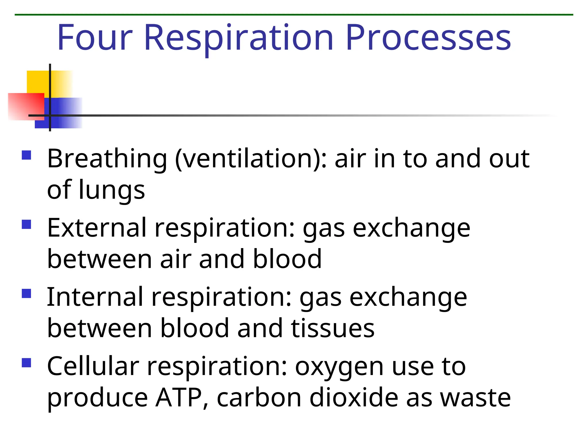 Respiratory system for grade 9 learners.ppt