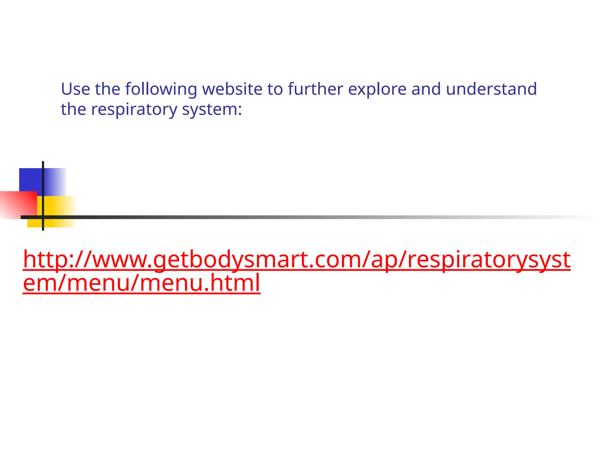 Respiratory system for grade 9 learners.ppt