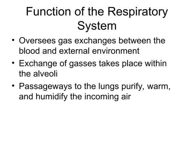 Grade 6 Human Body Respiratory System.ppt | Ear, Nose and Throat ...
