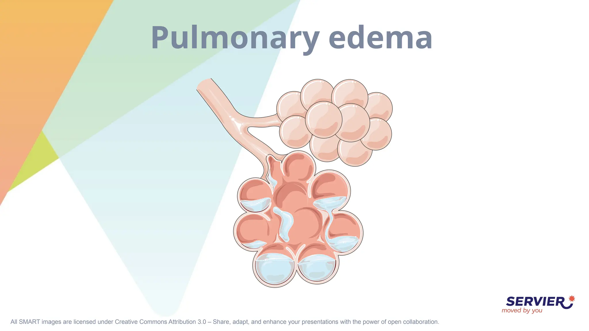 Respiratory System And Respiratory Diagrams Pptx