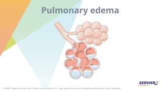 Respiratory_system and respiratory diagrams.pptx