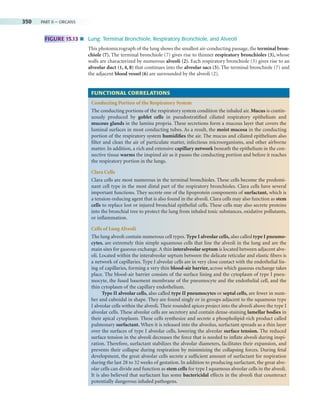 Pathology of Respiratory system in pdf. Microscopy view of Respiratory ...