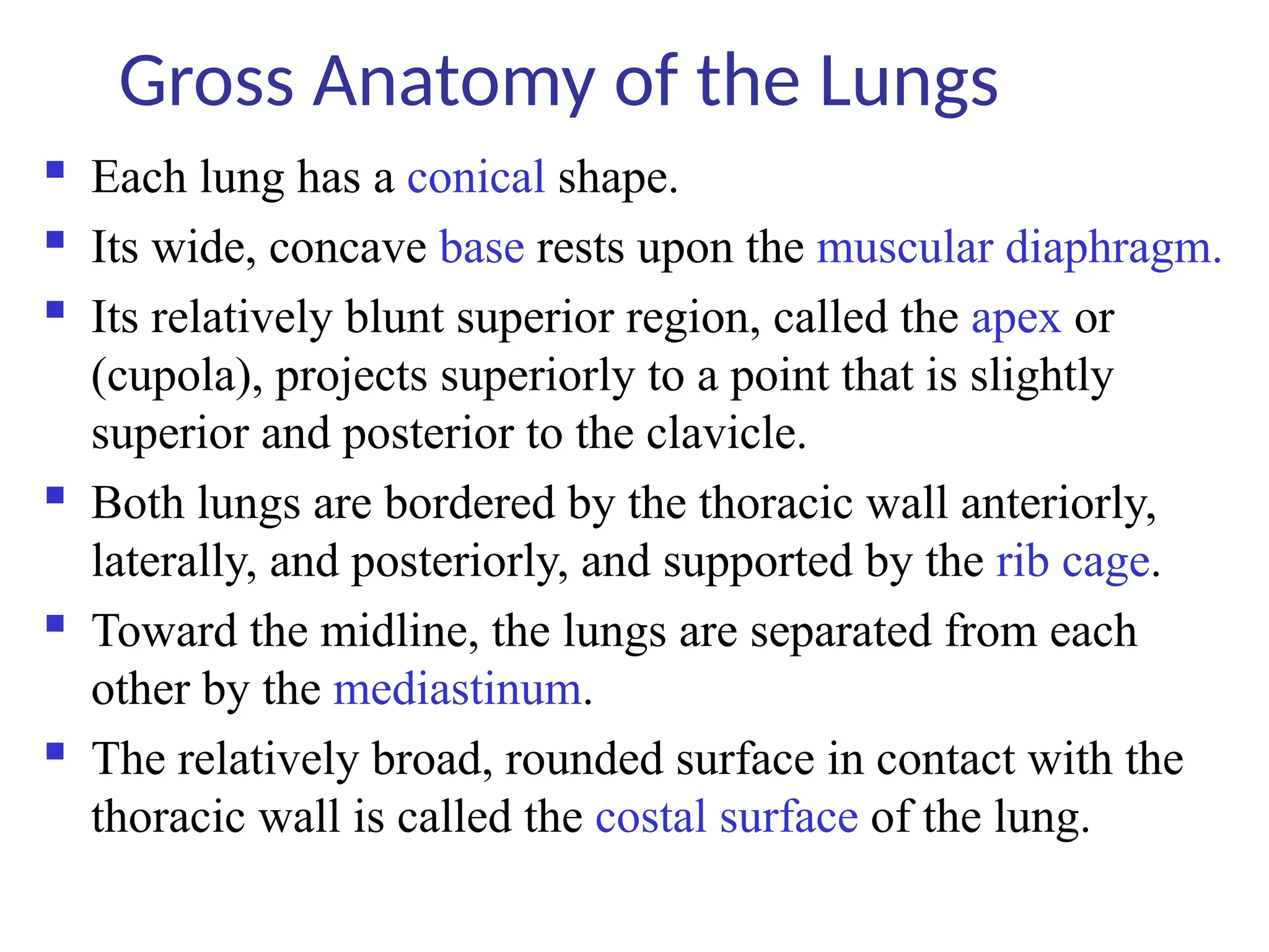 Respiratory Systemwerttyuioasdghjkkl.ppt