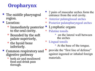 Respiratory Systemwerttyuioasdghjkkl.ppt