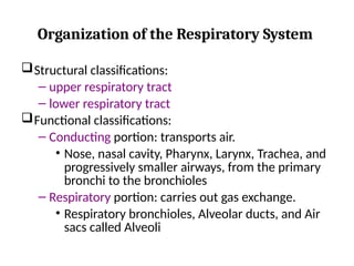 Respiratory Systemwerttyuioasdghjkkl.ppt
