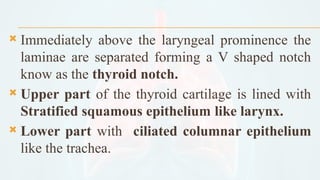 Respiratory system Anatomy and physiology | PPTX