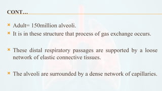 Respiratory system Anatomy and physiology | PPTX