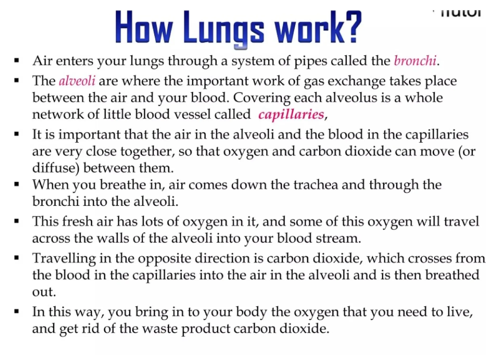 Respiratory system grade 9 science coordinated functions of the body ...