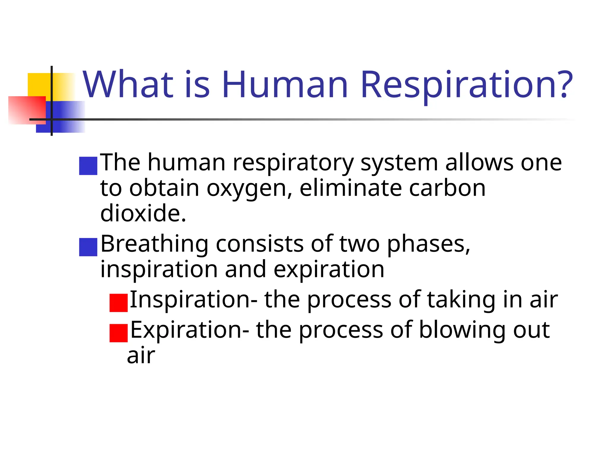 Respiratory system in human body001.pptx