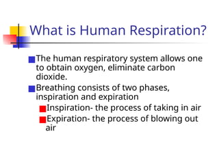 Respiratory system in human body001.pptx