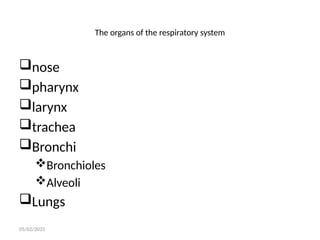 RESPIRATORY SYSTEM. Respiratory and its mechanisms | PPTX