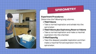 Respiratory System Physiology Experiment | PDF