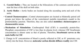 The respiratory system is a biological system consisting of specific ...