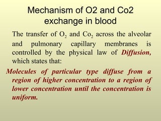 Respiratory systemfor human body system.ppt