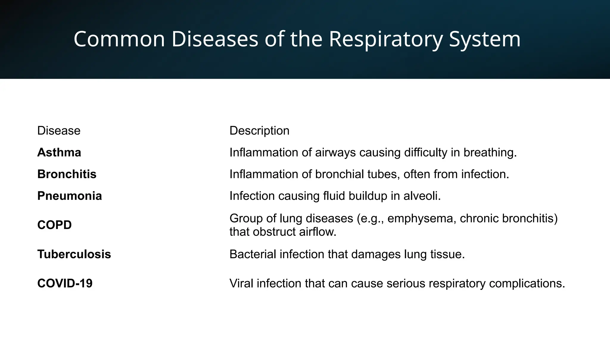 Human Respiratory System and its structurespptx | PPTX