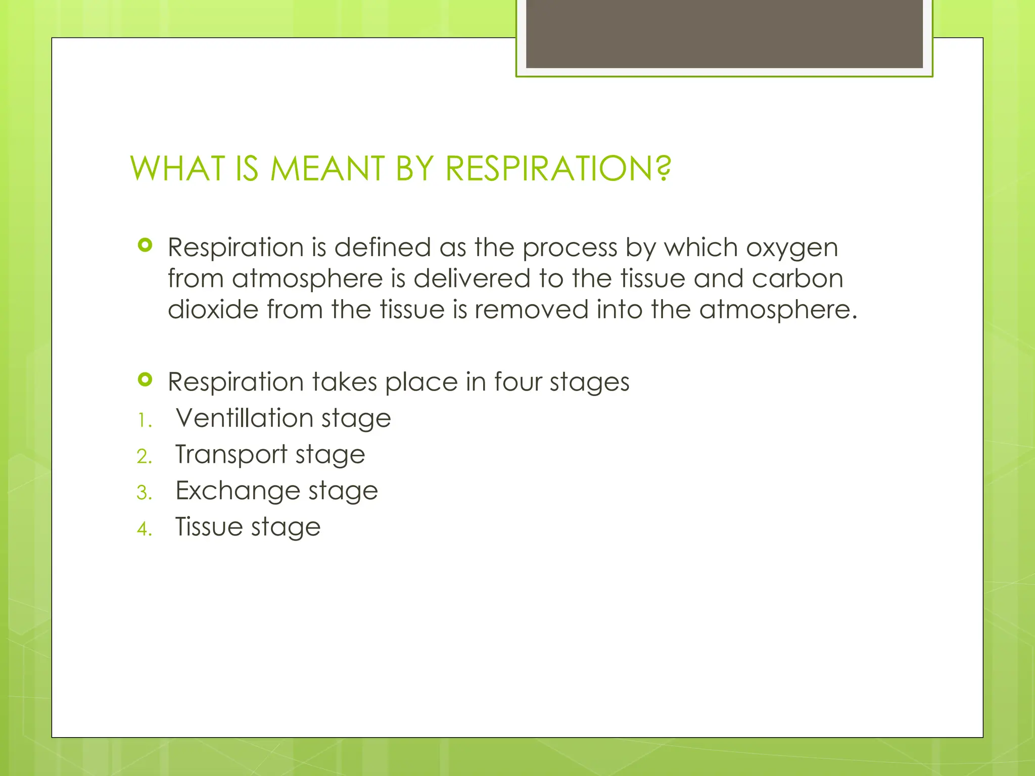 RESPIRATORY SYSTEM physiology respiratory system | PPTX