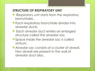 RESPIRATORY SYSTEM physiology respiratory system | PPTX