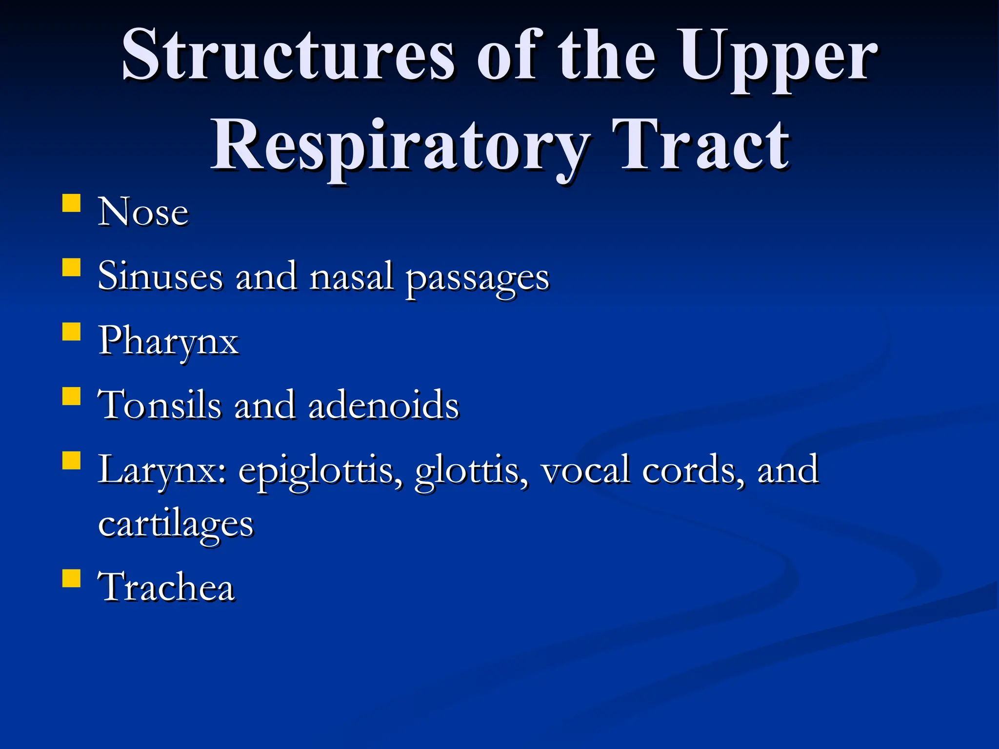 respiratory system.ppt respiratory system.ppt respiratory system.ppt ...