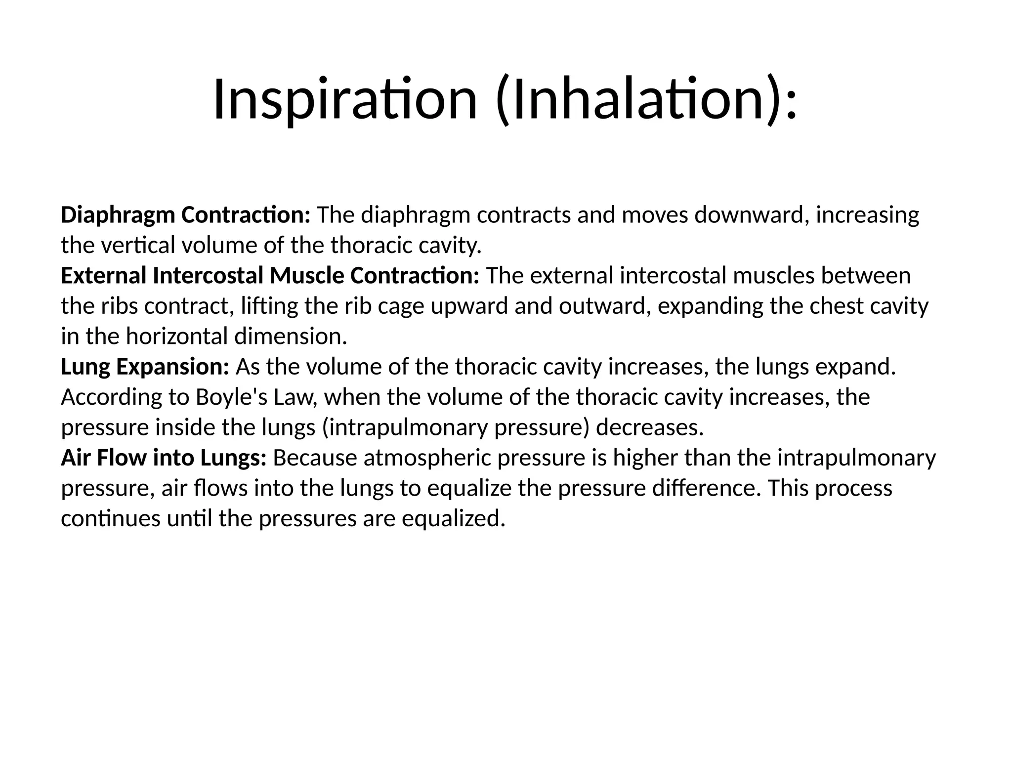 Respiratory System anatomy and physiology | PPTX