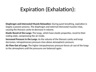 Respiratory System anatomy and physiology | PPTX