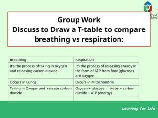 breathing and the Respiratory system.pptx
